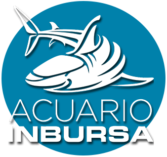 Acuario Inbursa - Bienvenidos